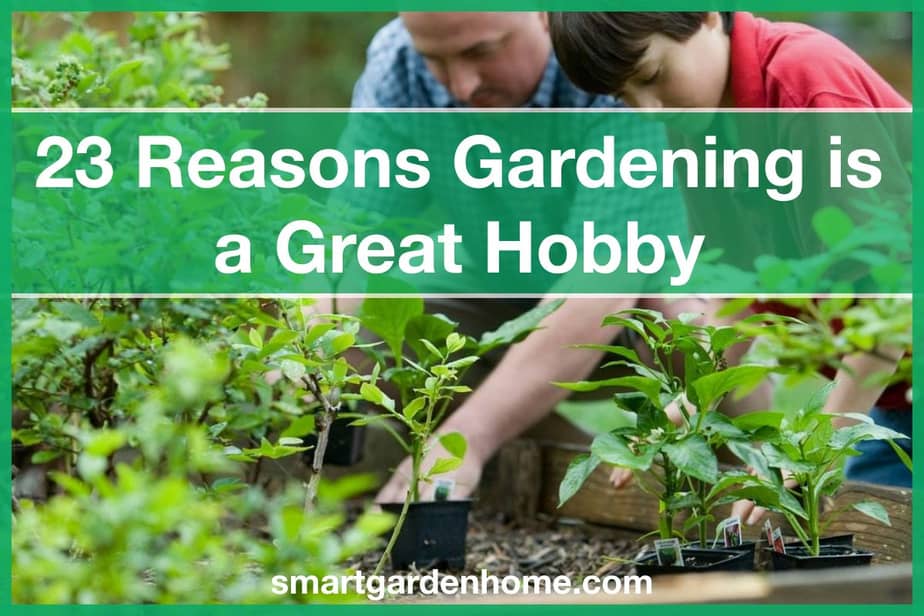 Top 23 Reasons Gardening Is A Great Hobby - Smart Garden And Home Top 23 Reasons Gardening Is A Great Hobby - Smart Garden And Home